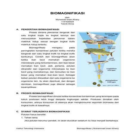 Biomagnifikasi Essay by Muhamad Imam Khairy | PDF