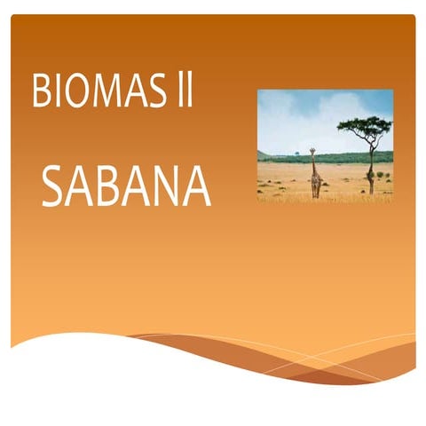 La sabana y sus caracteristicas | PPTX