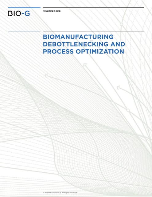 Debottlenecking a bulk manufacturing plant | PDF