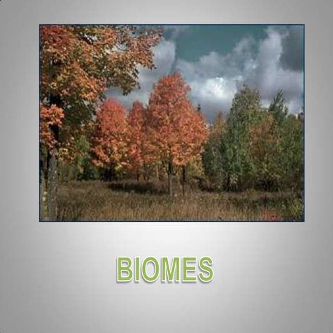 Biomas | PPTX