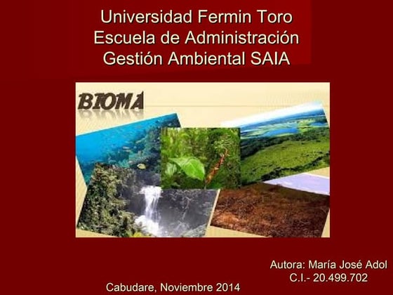 GRADE 10 SOUTH AFRICAN BIOMES PRESENTATION .pptx | Geography | Science
