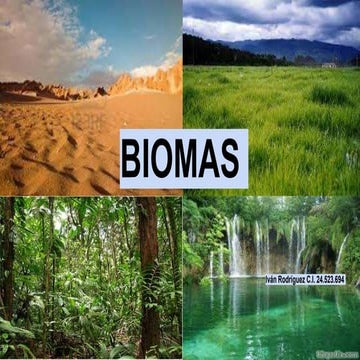 Biomas de venezuela | PPT