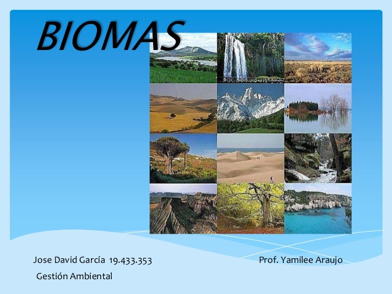 Las 16 Mejores Imagenes De Biomas Biomas Ecosistema Acuatico Y Tipos Images