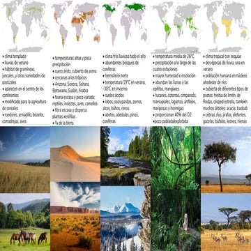 CUADRO COMPARATIVO DE BIOMAS UNAM TODAS LAS AREAS | PDF