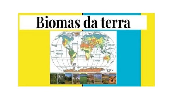 Atividades biomas brasileiros | PDF