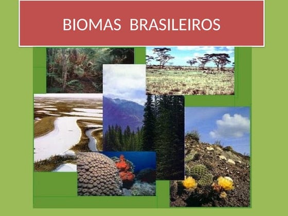 slides sobre biomas brasileiros | PPT