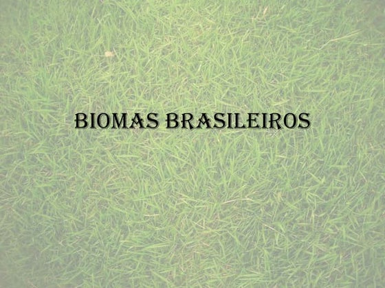BIOMAS BRASILEIROS e tabela.docx
