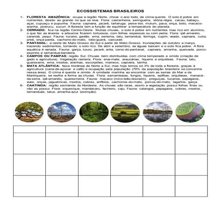 BIOMAS BRASILEIROS e tabela.docx