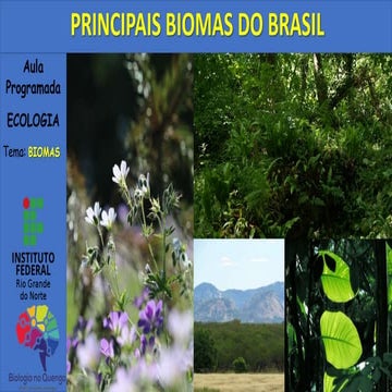 Biomas do Brasil.pptx