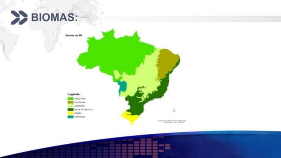 BIOMAS BRASILEIROS e tabela.docx