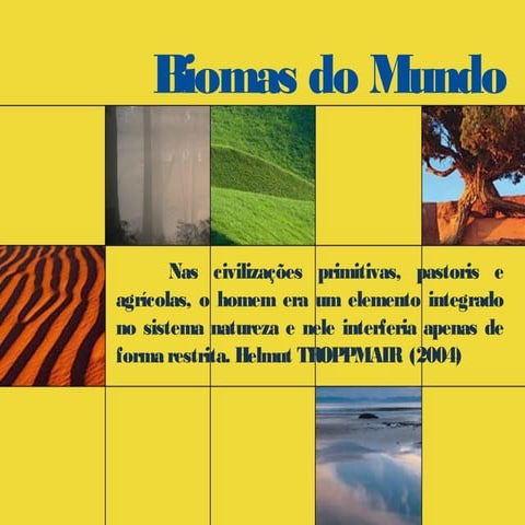 Biomas do mundo | PPT
