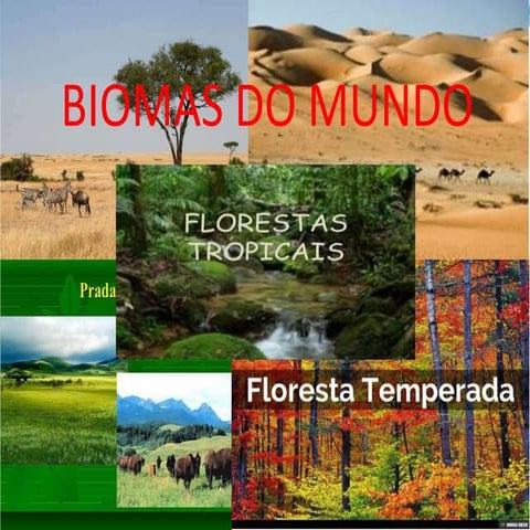 Biomas do mundo | PPTX