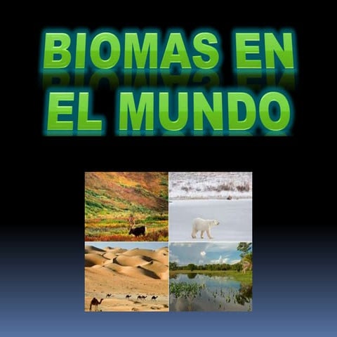 Hoja De Trabajo Sobre Biomas En La Escuela Secundaria Diorama: Bioma