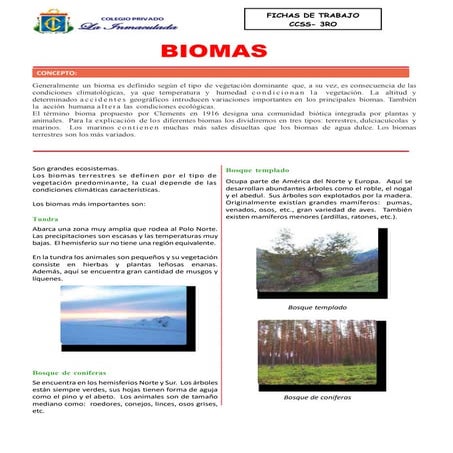 Fichas De Trabajo Sobre Ecosistemas Y Biomas