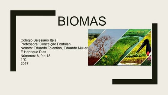 Avaliação de ciências biomas 1 | PPT