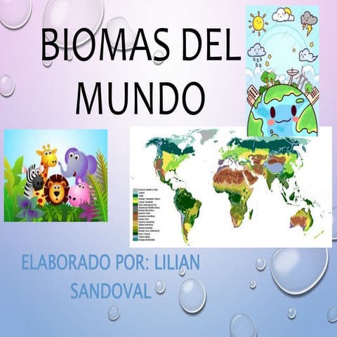Biomas ppt | PPT