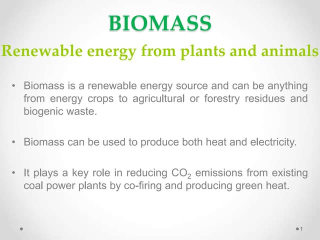 Biomass energy and conversion processes | PPTX | Science