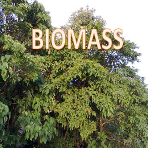 Bio mass | PPTX
