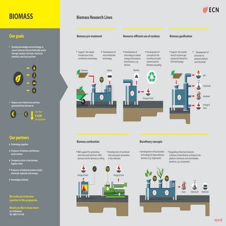 Infographic Research program Biomass | PDF
