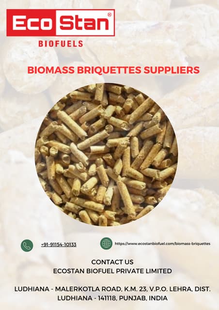 Briefly Biomass Fuel Pellets Overview.pdf