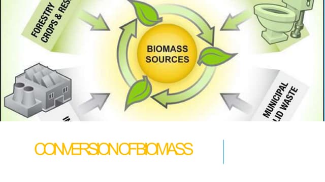 Biomass energy and conversion processes | PPTX | Science