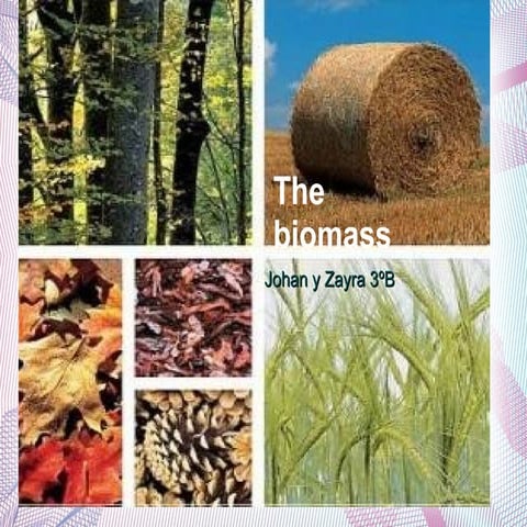 An overview of energy sources from biomass.pdf