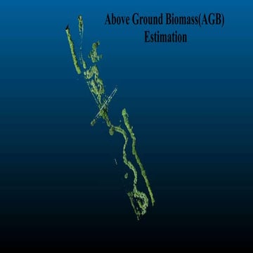 Biomass Estimation Pptx