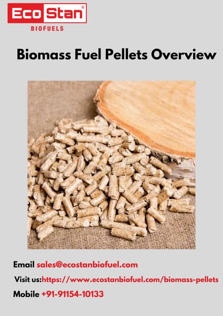 Biomass Pellet Supplier Sustainable Energy Solutions.pptx