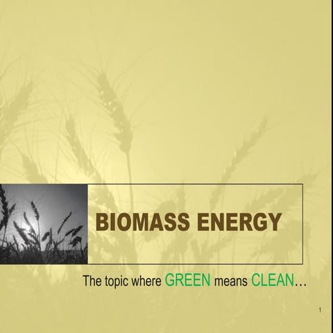 Biomass Report | PPT