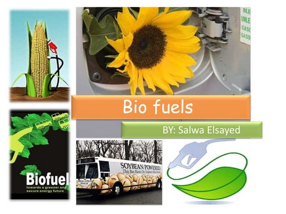 Bioethanol and its Production | PPT