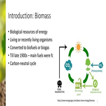 Biomass to bioenergy.pptx