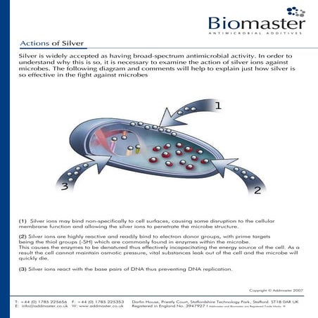 Biomaster ® Actions Of Silver | PDF