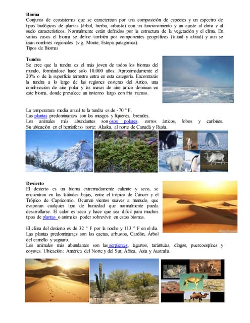 Hoja De Trabajo Sobre Los Biomas Del Mundo Biomas Para Primero De
