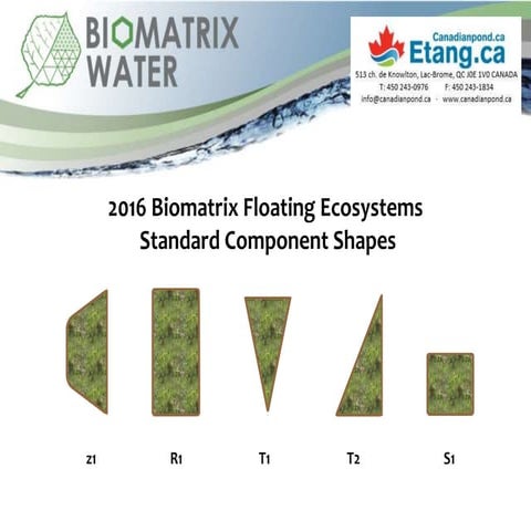 Biomatrix Floating Island Ecosystems - Islands Shapes 2016 | PPTX