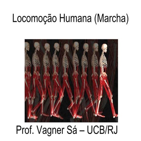 Marcha humana, fases e funções básicas.pptx