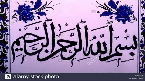 Transpedal SFA revascularization using outback re-entry | PPTX