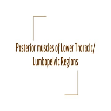 Biomechanics - muscles of lower thorax (Ann).pptx