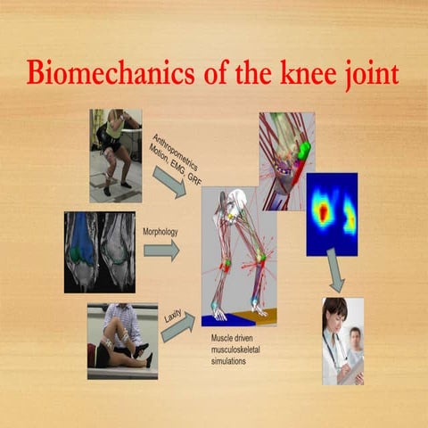 Biomechanics of knee | PPT