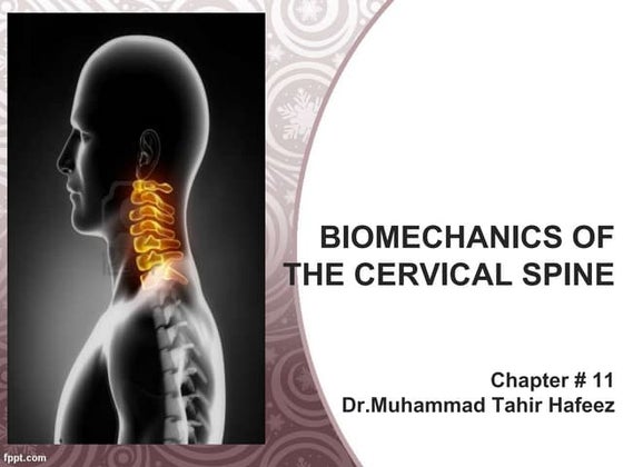SPINAL STABILIZATION PPT | PPTX