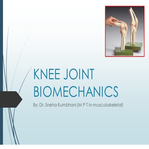 Biomechanics of knee joint.dbbdndxbwjdjrjrjr | PDF
