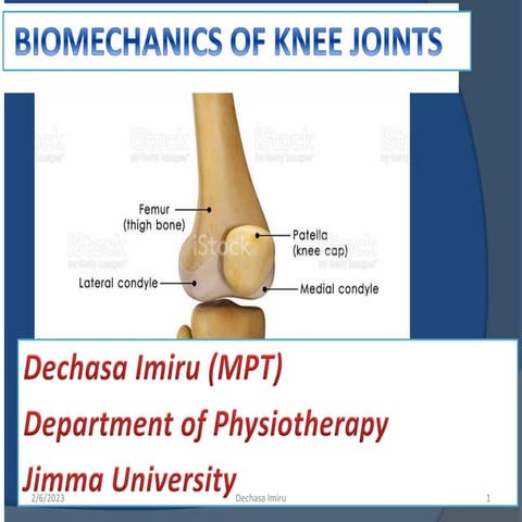 BIOMECHANICS OF KNEE JOINTS 4 2nd yr.pdf