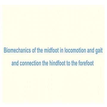 Biomechanics of the midfoot in locomotion and gait and connection the ...