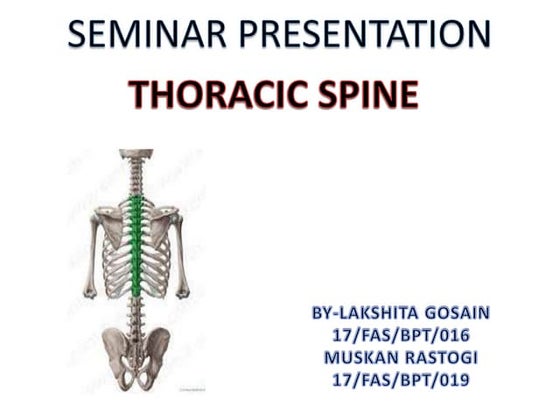Lumbar Spine Anatomy Ppt PLIF: Posterior Lumbar Interbody Fusion