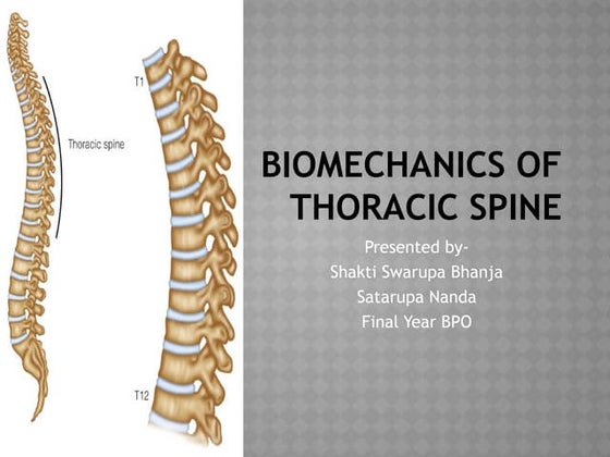 Low Frequency motor points and application | PDF