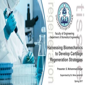 Harnessing Biomechanics to Develop Cartilage Regeneration Strategies | PPTX | Bone and Joint ...