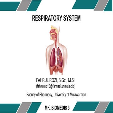 Human Anatomy and Physiology of Respiratory System | PDF