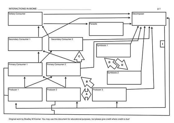 2.4 biomes zonation and succession notes | PDF