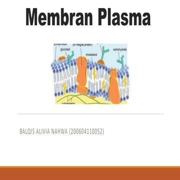 bio membran 1 alivia.pptx