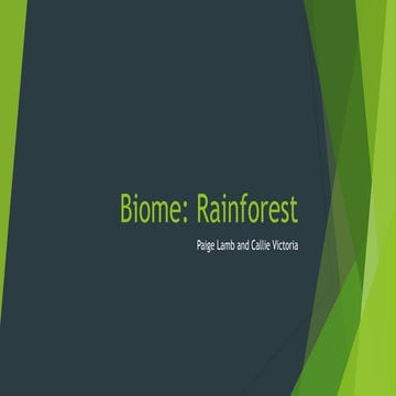 Biome rainforest | PPTX
