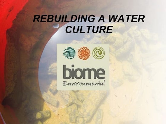 Revitalize, Restore, Replant | PPT